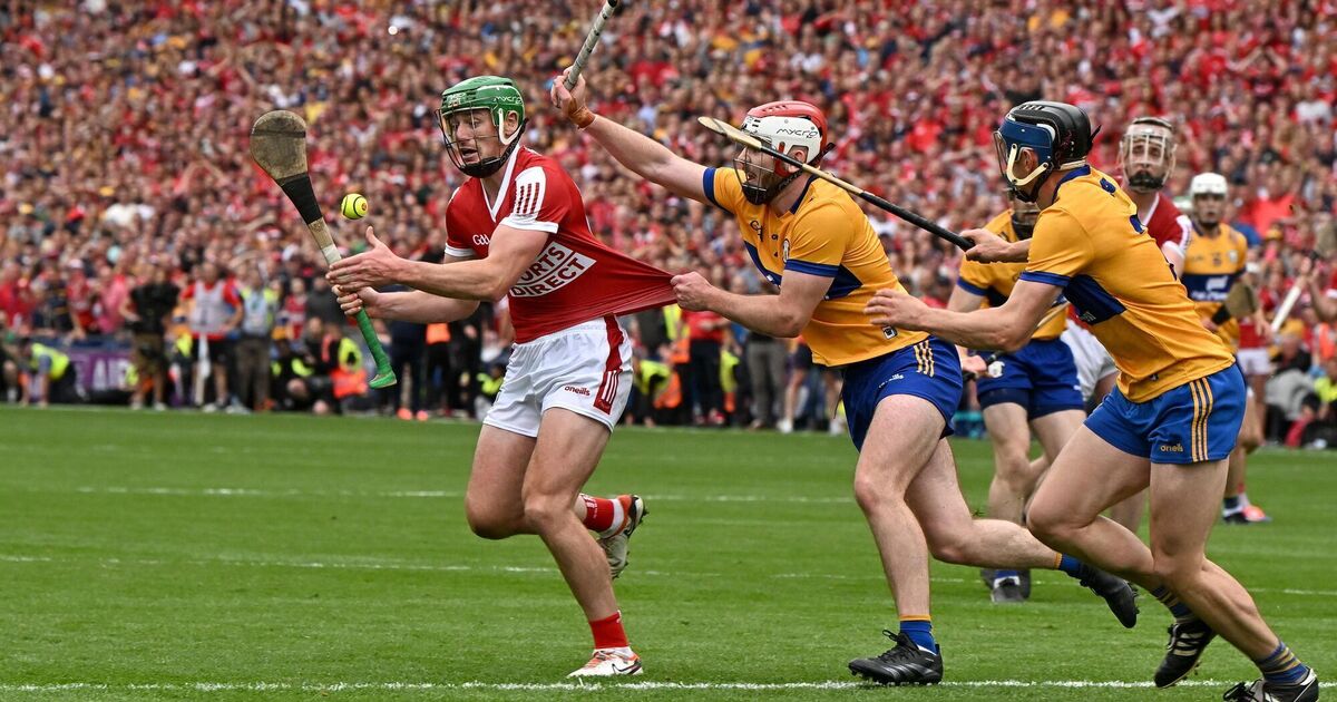 Cork GAA officials sought clarity from referee over controversial ...