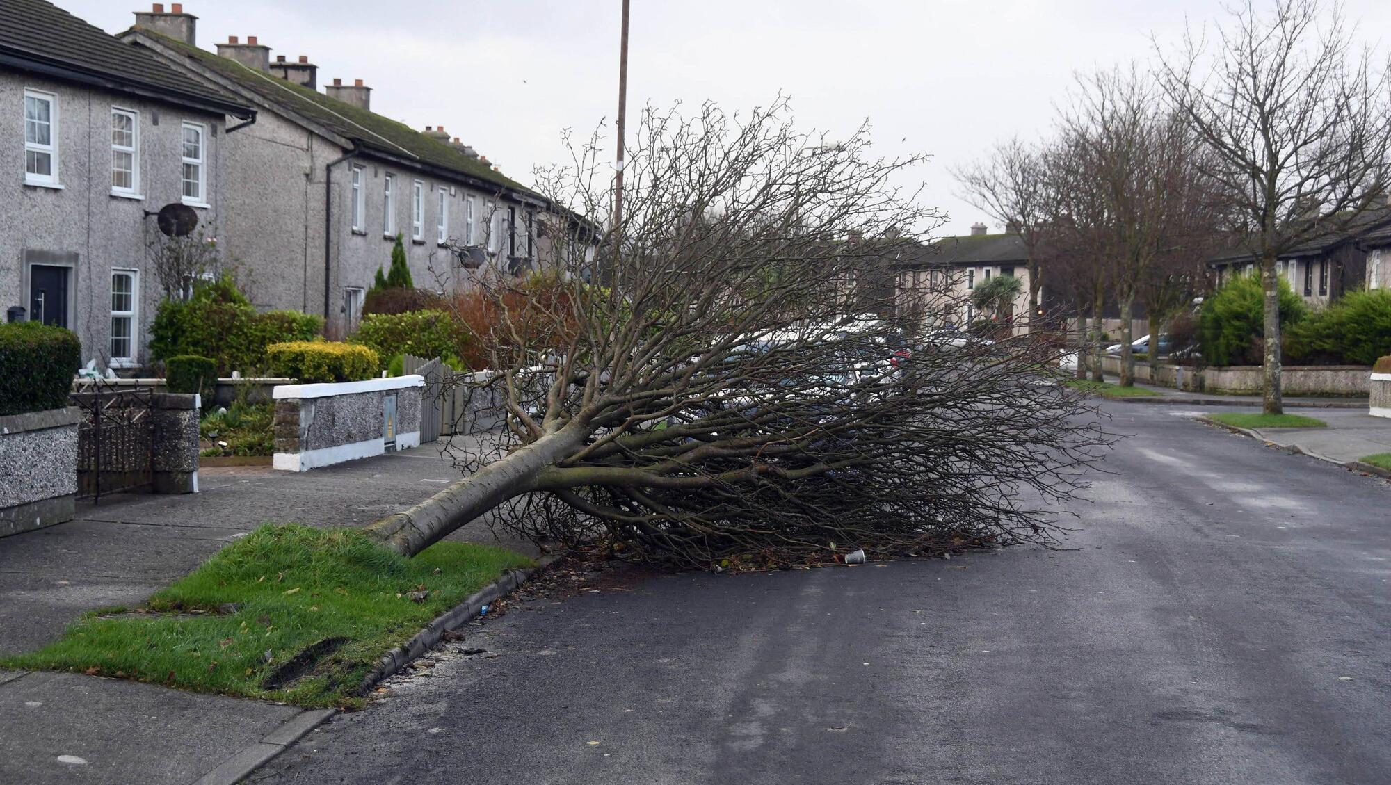 Storm Darragh: Disruption lingers as some to be left without power for ...