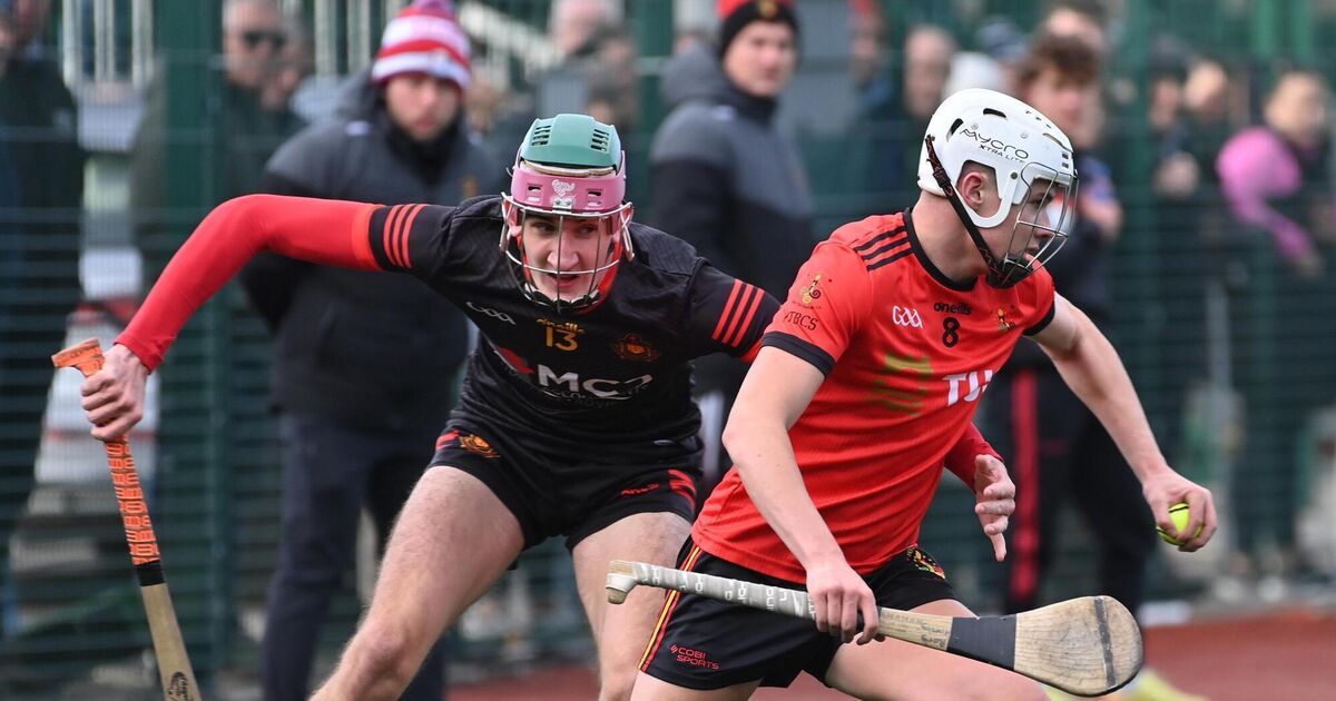 Harty Cup quarter-final draw: Christian Brothers College Cork to face ...