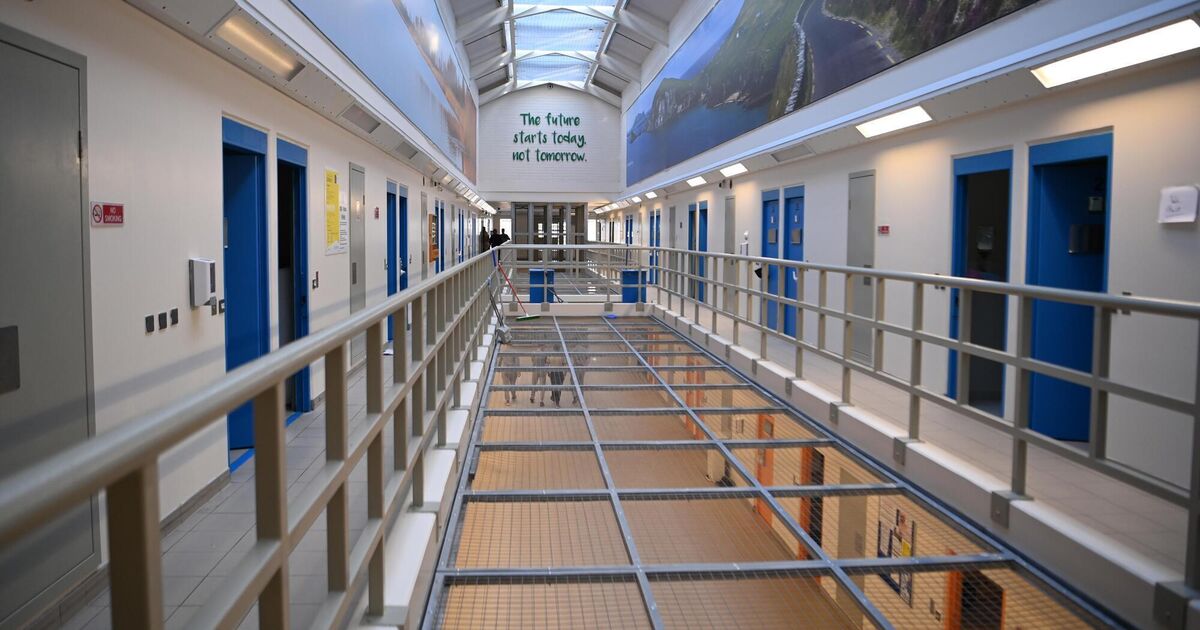Cork man who went cold turkey in prison may be out by Christmas after ...
