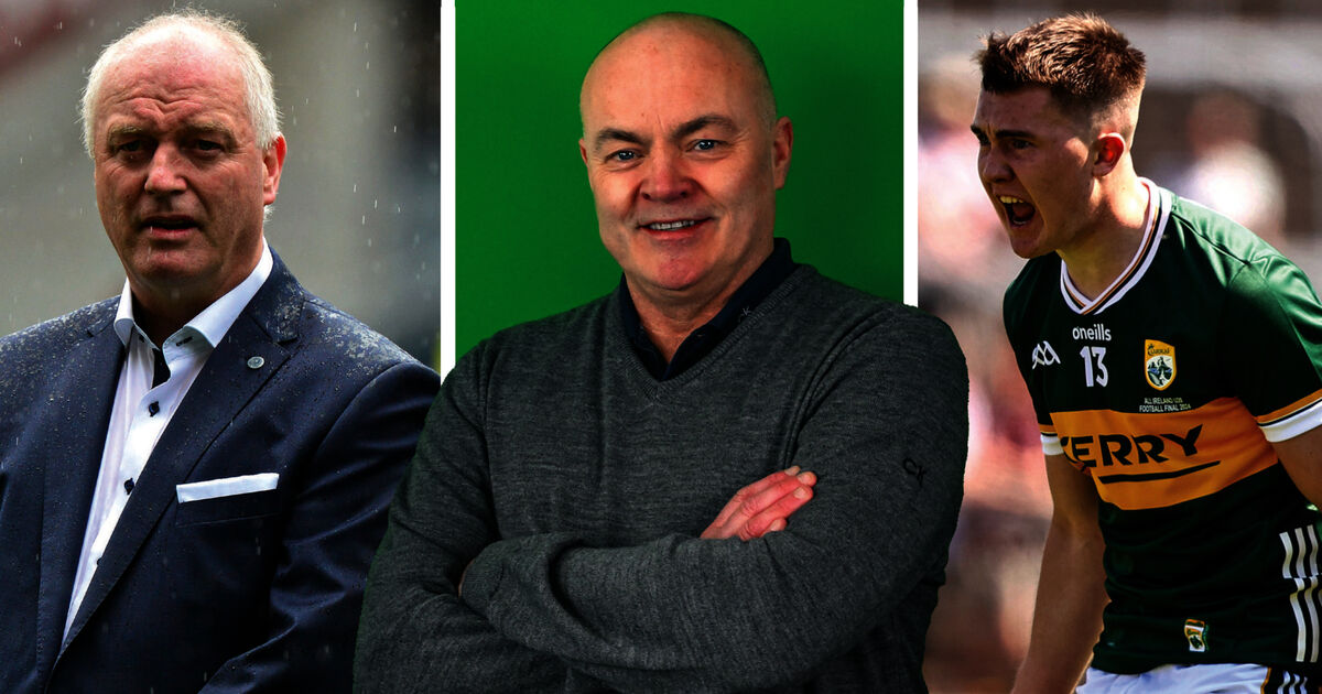 Larry Tompkins and Anthony Daly named 2024 Munster GAA Hall of Fame ...