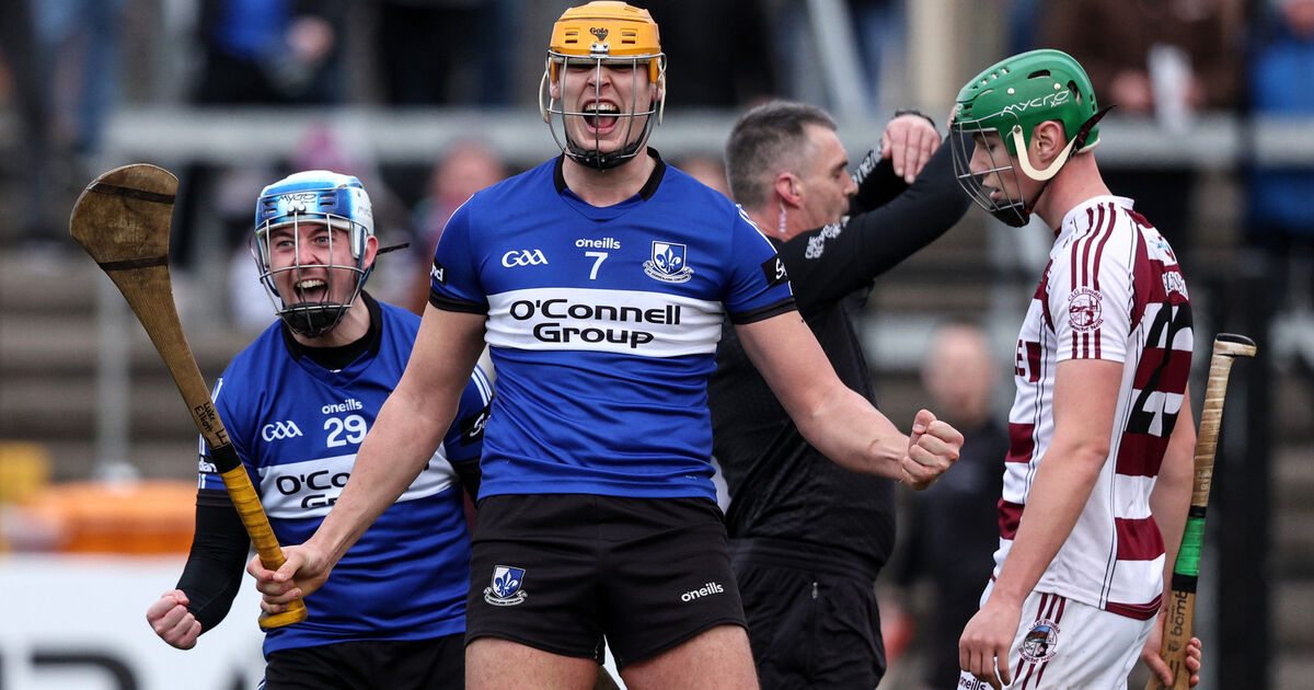 Talking Points: Sarsfields hold out to escape Ulster web, Na Fianna use ...