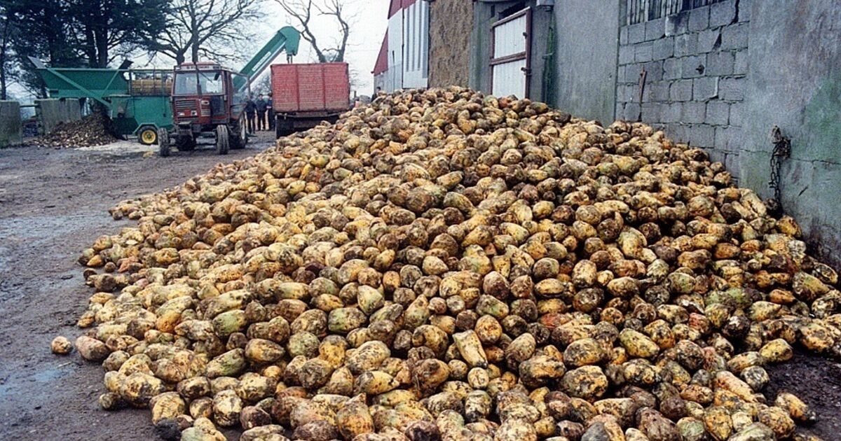 Stephen Cadogan: Long finished in Ireland, Mercosur could soon end ...