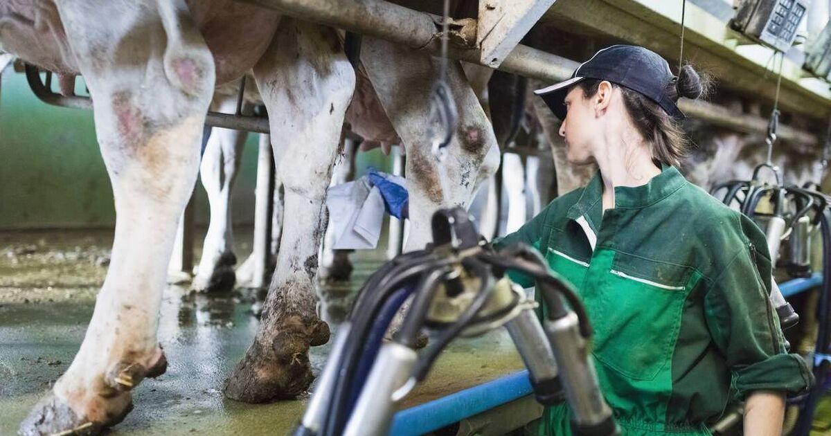 Farm Legal Advice: Personal injuries claims from farm workers