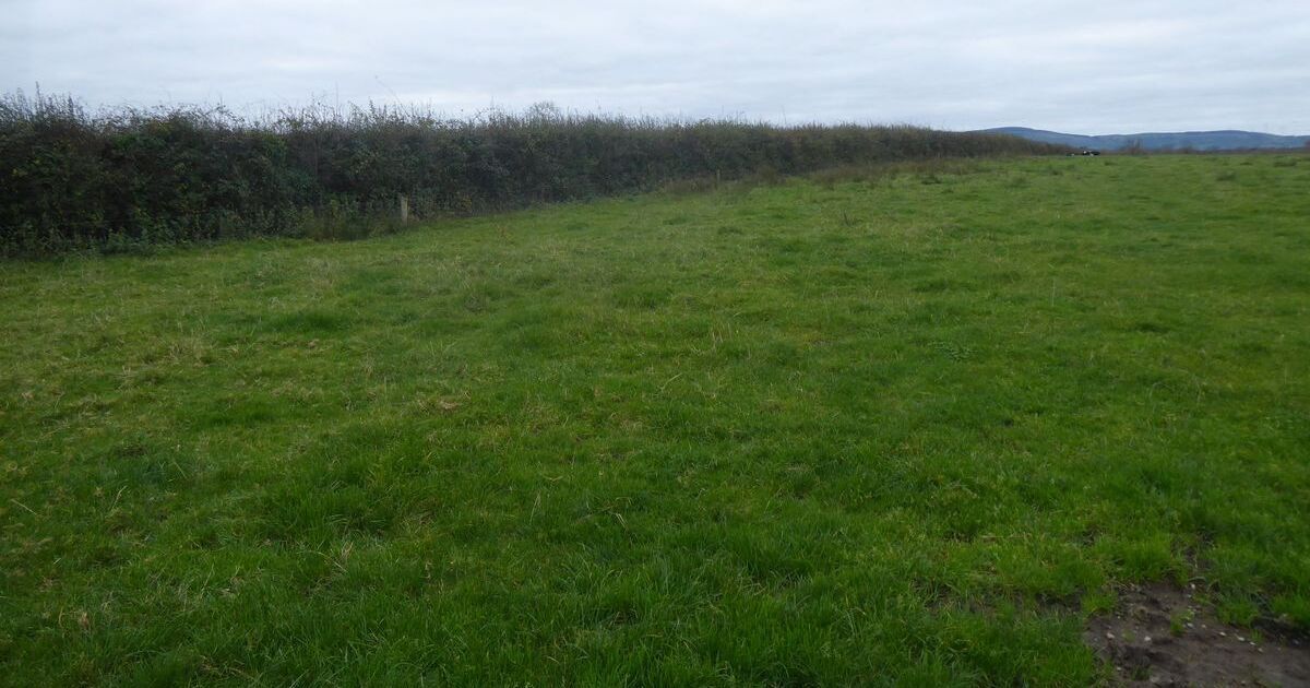 34-acre Cork farm seeking €12k/acre already under offer