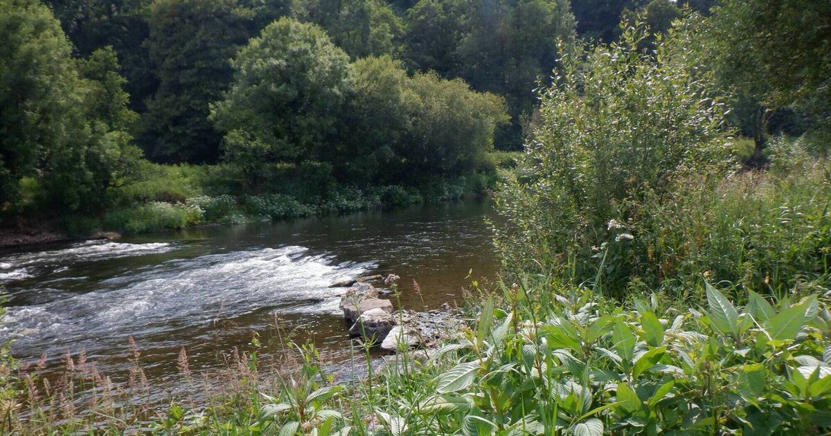 Improving Ireland's water quality a 'core requirement' for Irish farmers