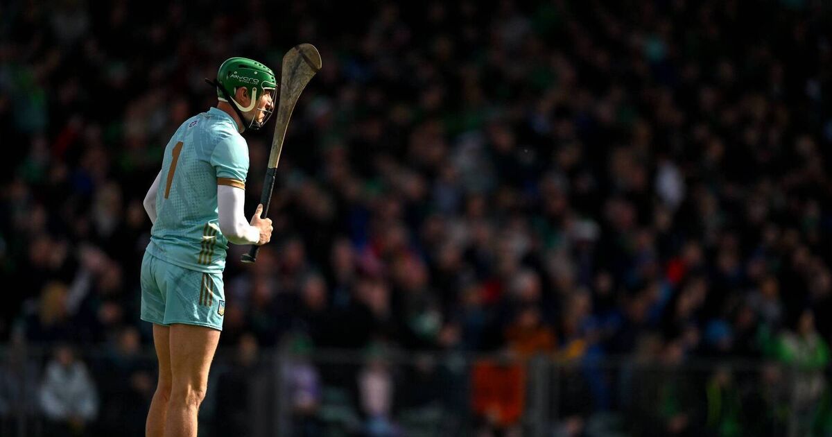 Limerick goalkeeper Nickie Quaid opens up on suffering ACL injury ...