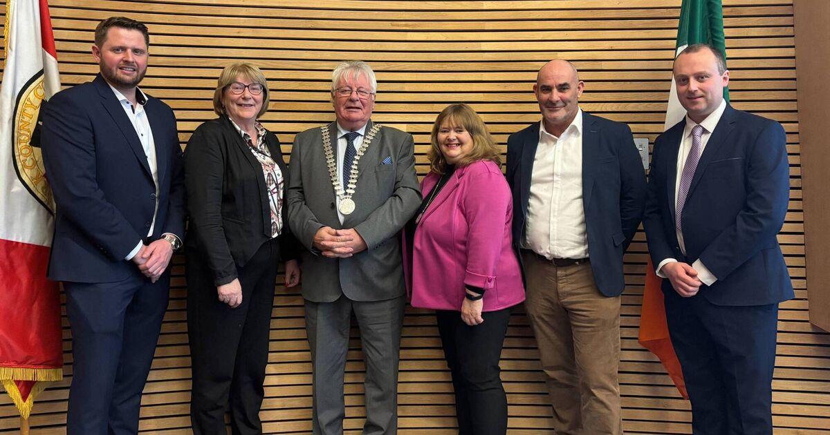 Here are the new Cork county councillors replacing those who won Dáil seats