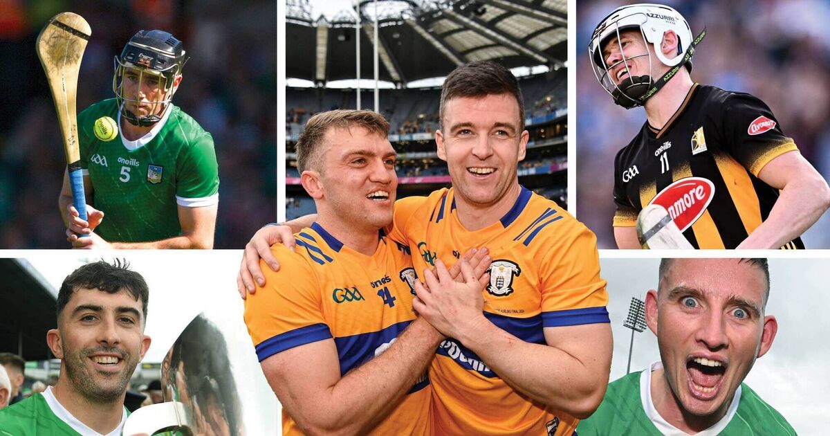 A troupe of Limerick unbelievables: the best hurling XV of the half decade