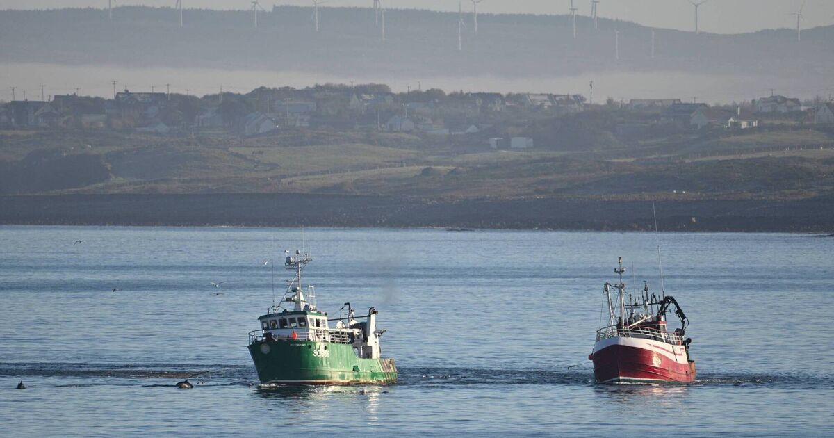 Pair trawling: Sieving the life out of small bays and estuaries
