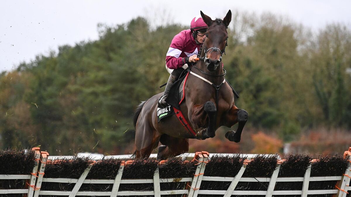 Brighterdaysahead all set for round two with State Man