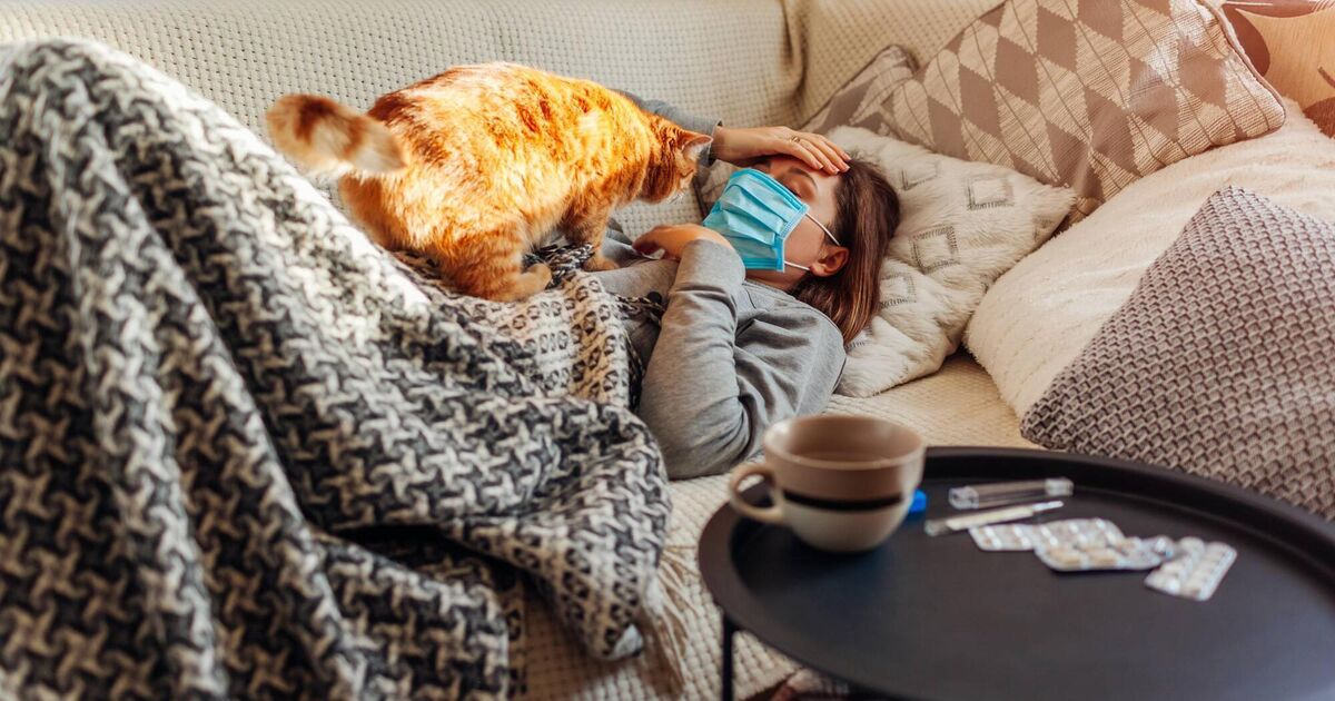 Numbers with flu in hospital expected to reach 900 in coming days