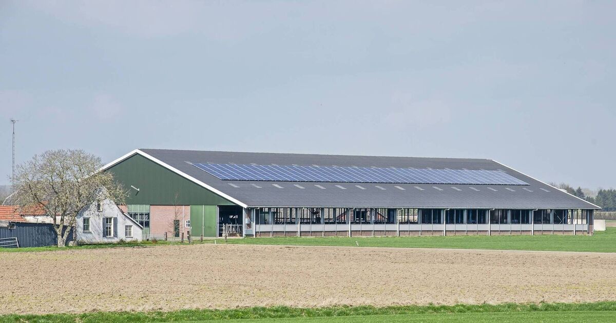 Small-scale Renewables conditions published