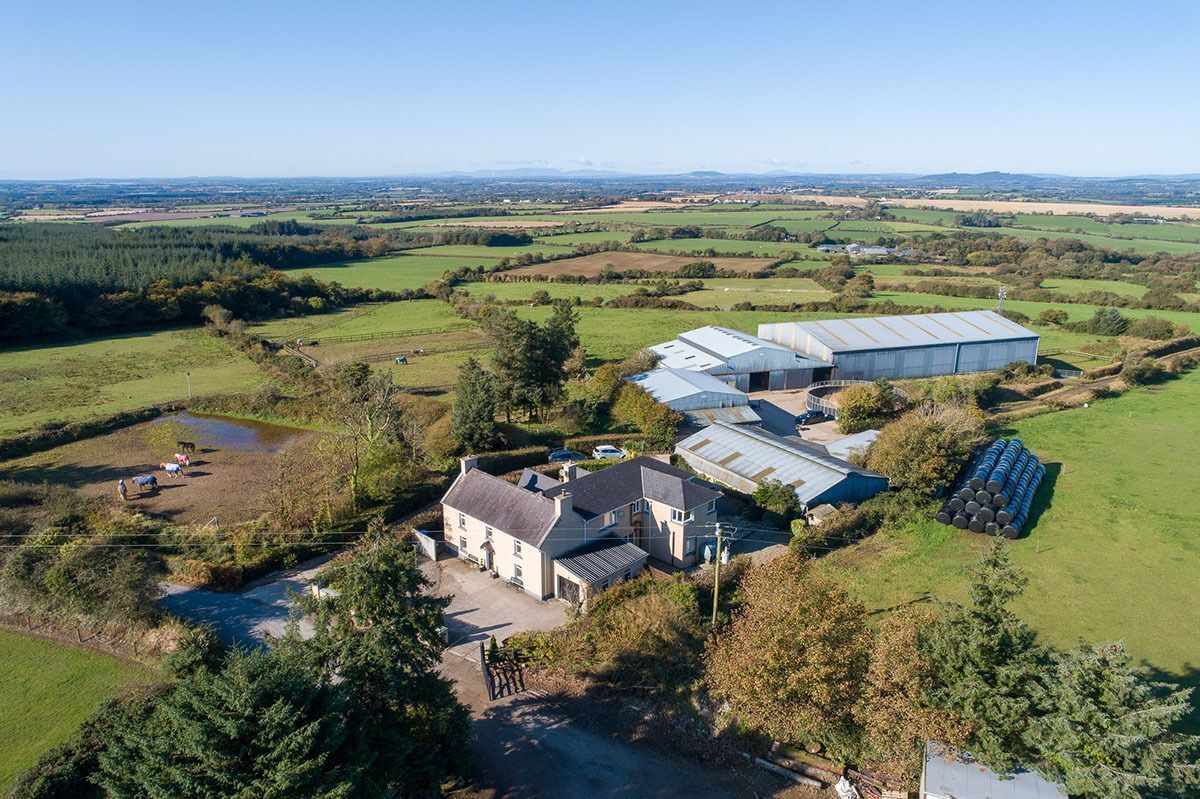 Superb 71-acre Wexford stud farm open to offers post-auction