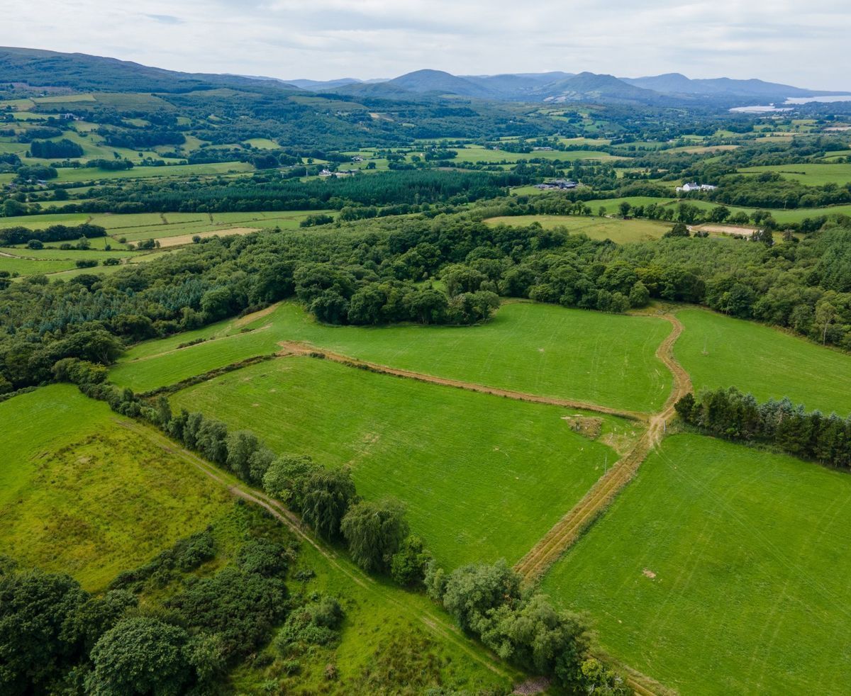 73-acre Kerry farm with multiple potential