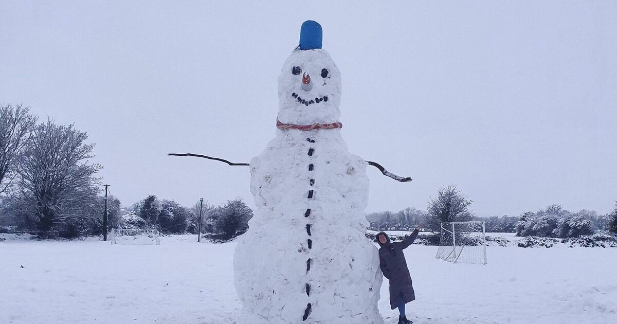 Cork teacher builds 23-foot snowman during cold snap in Limerick | News ...