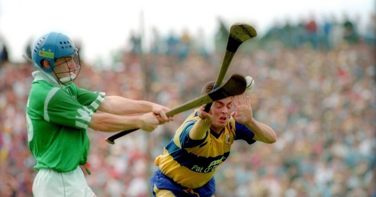 Enda McEvoy: It's 1995. Wouldn't it be fun if Clare or this Daly chap ...