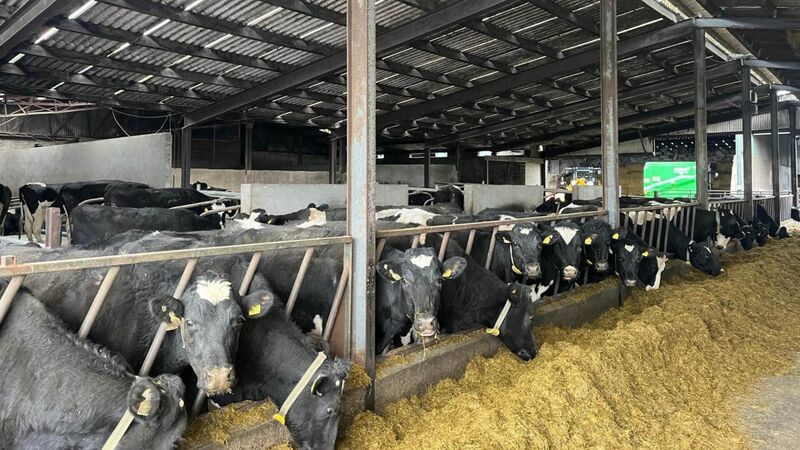 103-acre Carlow dairy farm for auction, guiding at €17,500/ac