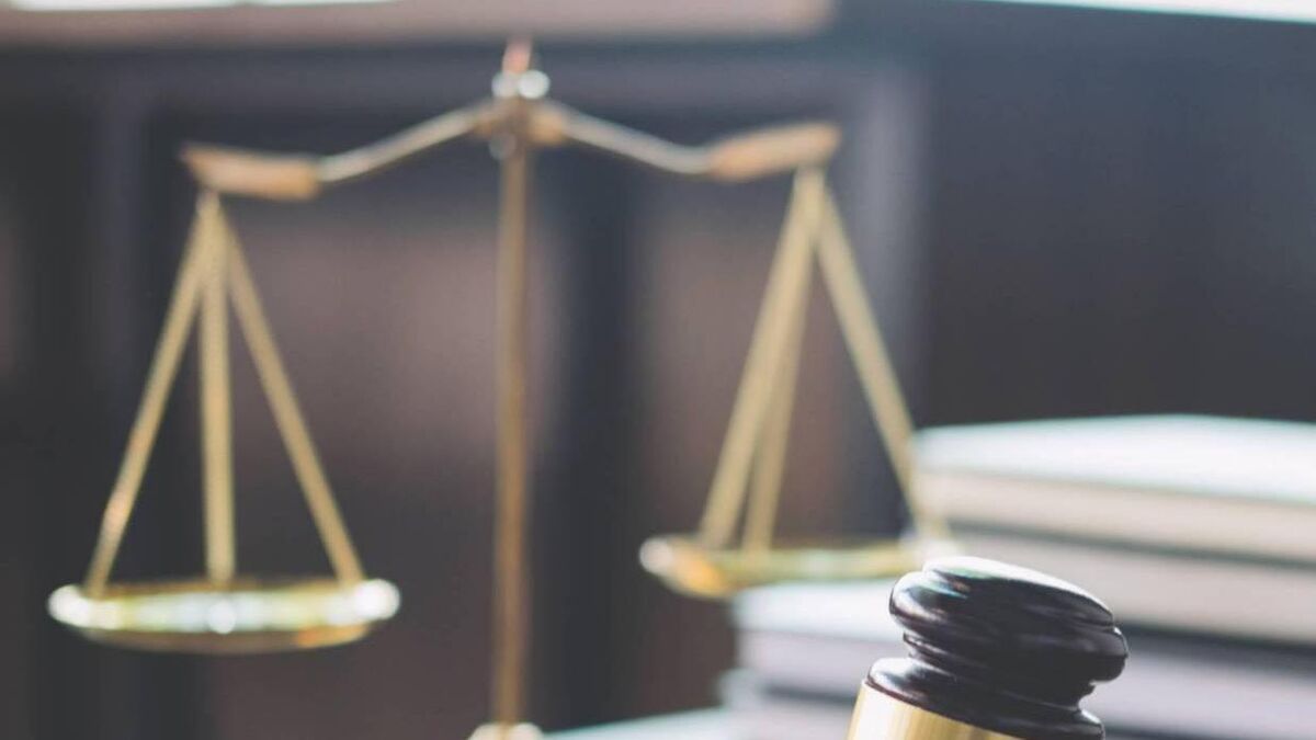 ISPCA inspector 'horrified' at state of dogs on Cork puppy farm