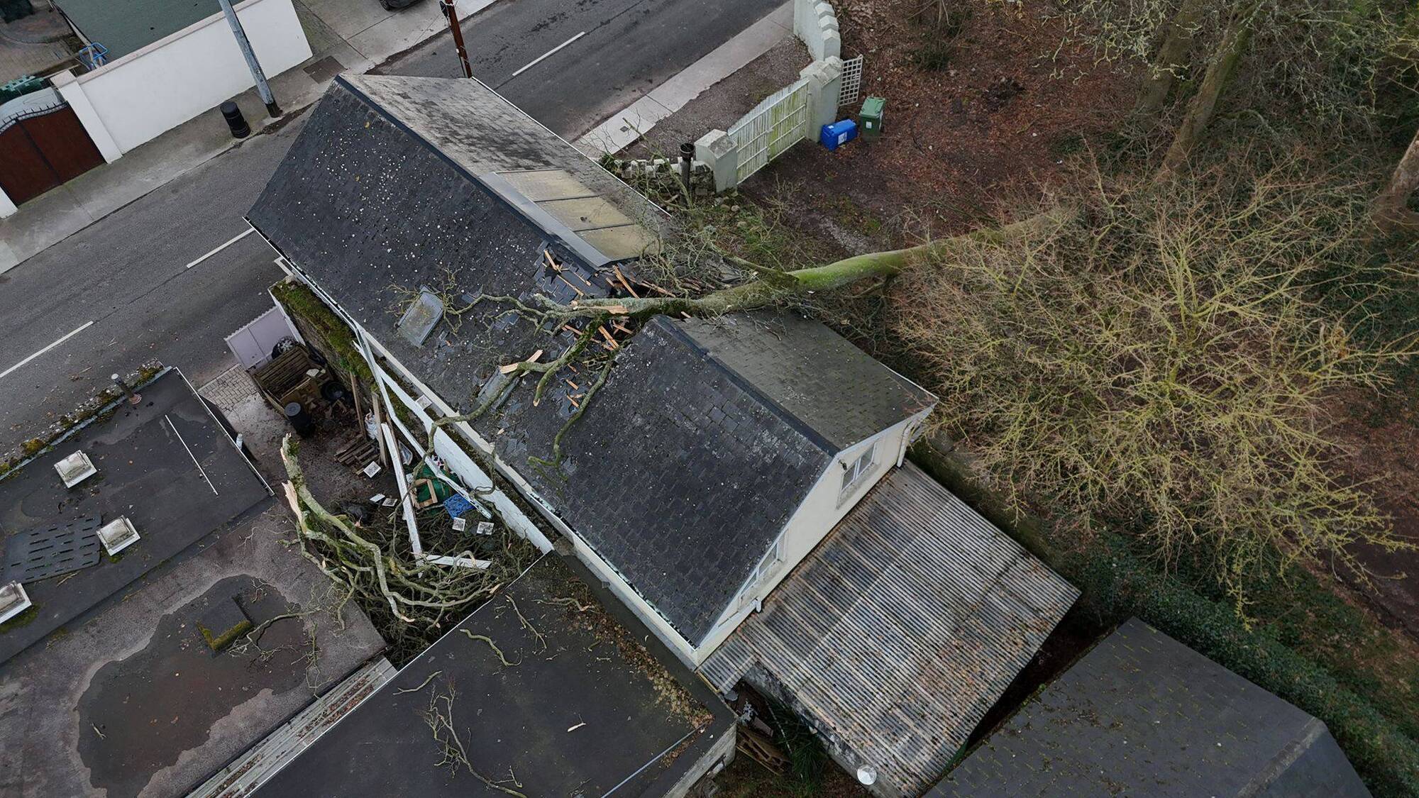 Storm Éowyn: Cork family 'lucky to be alive' after 60ft tree smashes ...