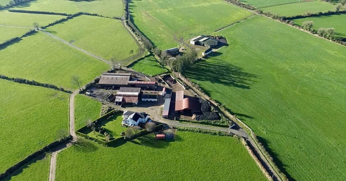 €15k per acre guide for 137-acre dairy farm in Wexford