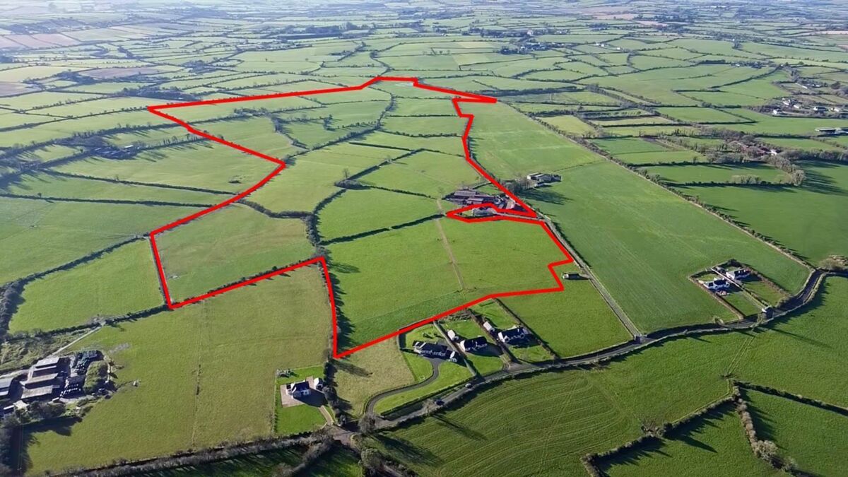 €15k per acre guide for 137-acre dairy farm in Wexford
