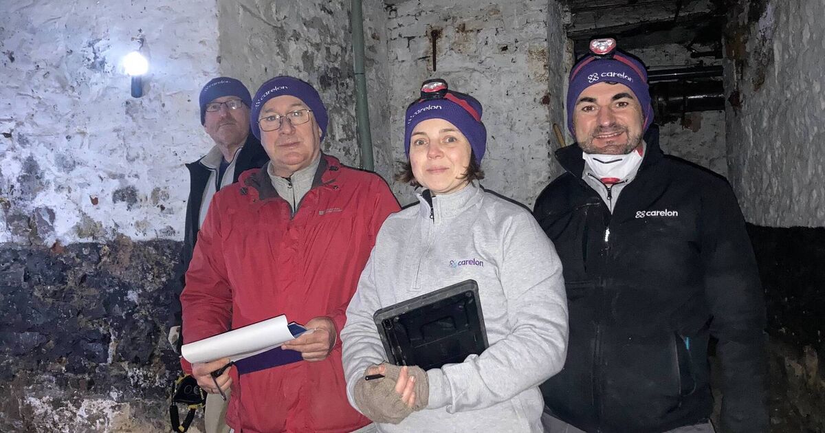 DNA results to confirm if remains of Limerick war hero Patrick ...