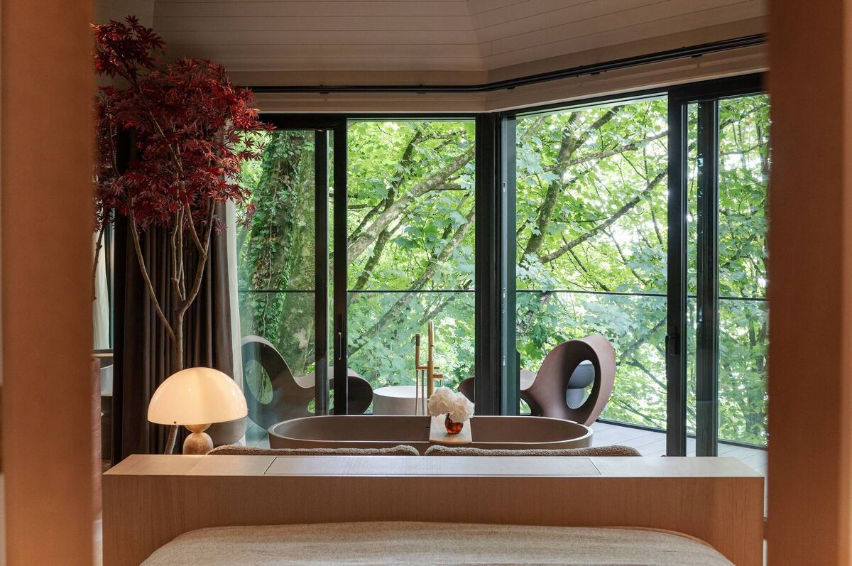 Inside Cork city woodland haven perched at the top of the awards tree