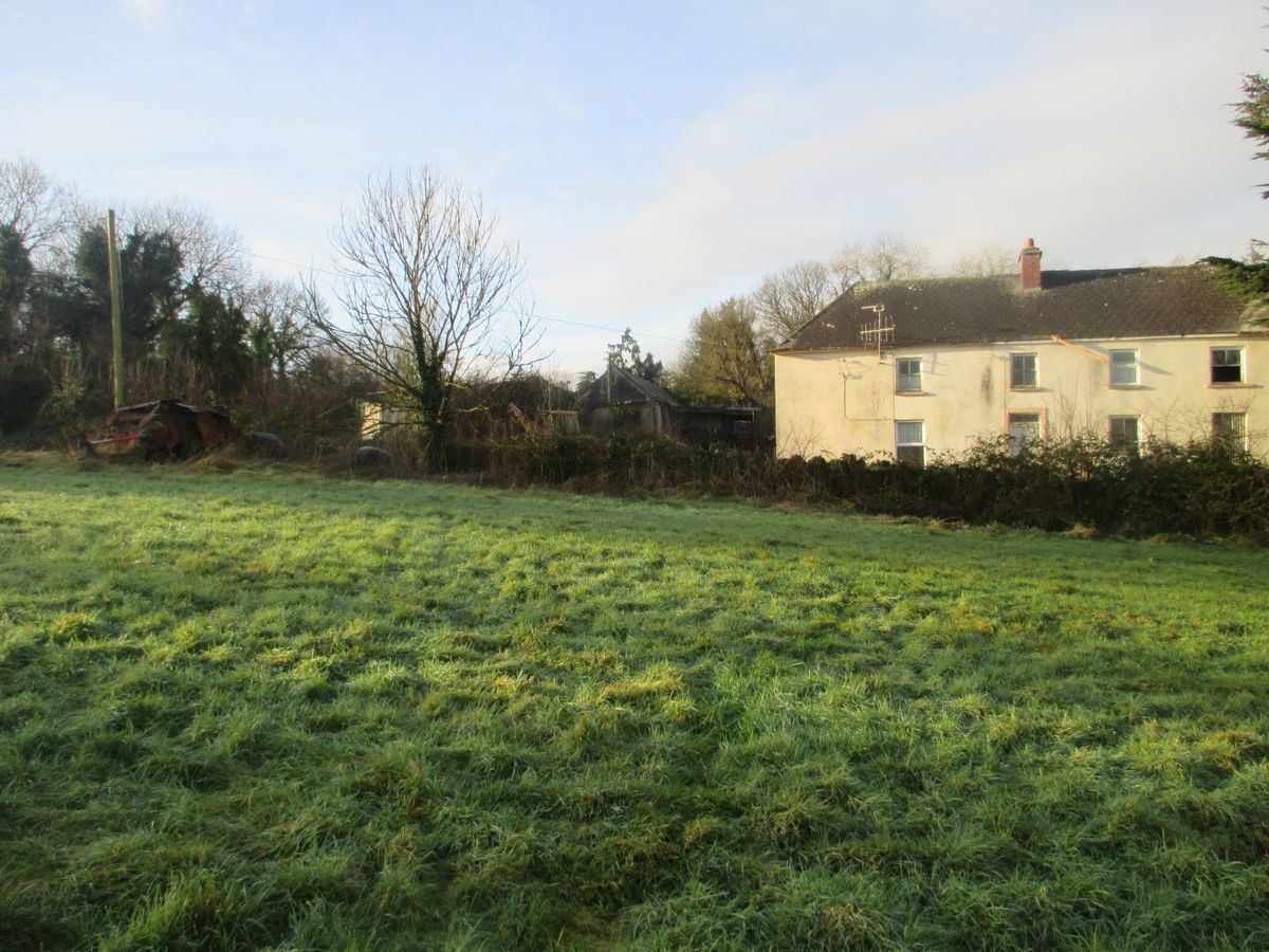 Intriguing 38-acre North Cork package offers farm, house and ...