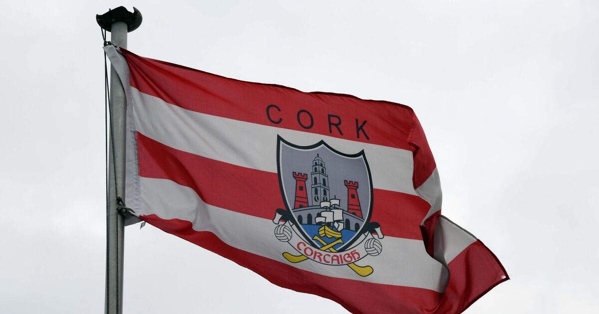 Ireland's longest .ie website is just the word 'Cork' repeated 15 times