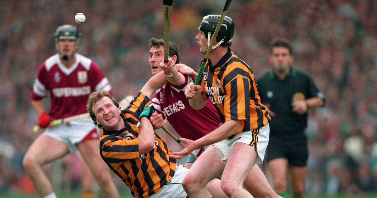Anthony Daly: Granite tough, Michael Coleman bestrode the hurling ...