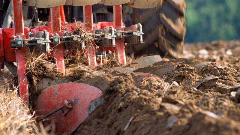 New conditionality standards for BISS