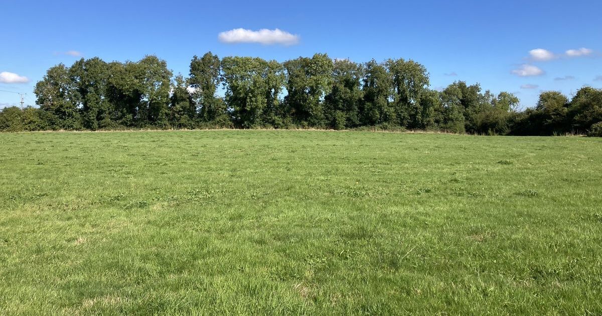 40-acre South Tipp farm with guide price over €500,000