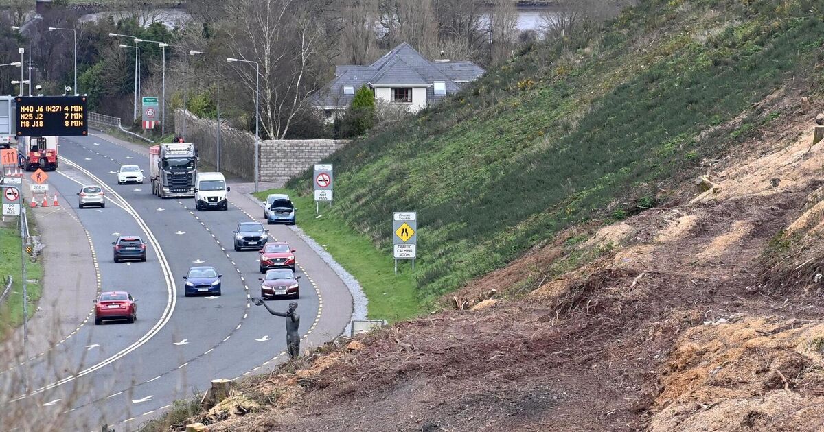 Last-minute questions raised about report on Cork to Ringaskiddy motorway