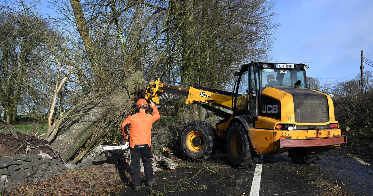 For rural Ireland, 2025 has been dubbed 'the year of the Meitheal'