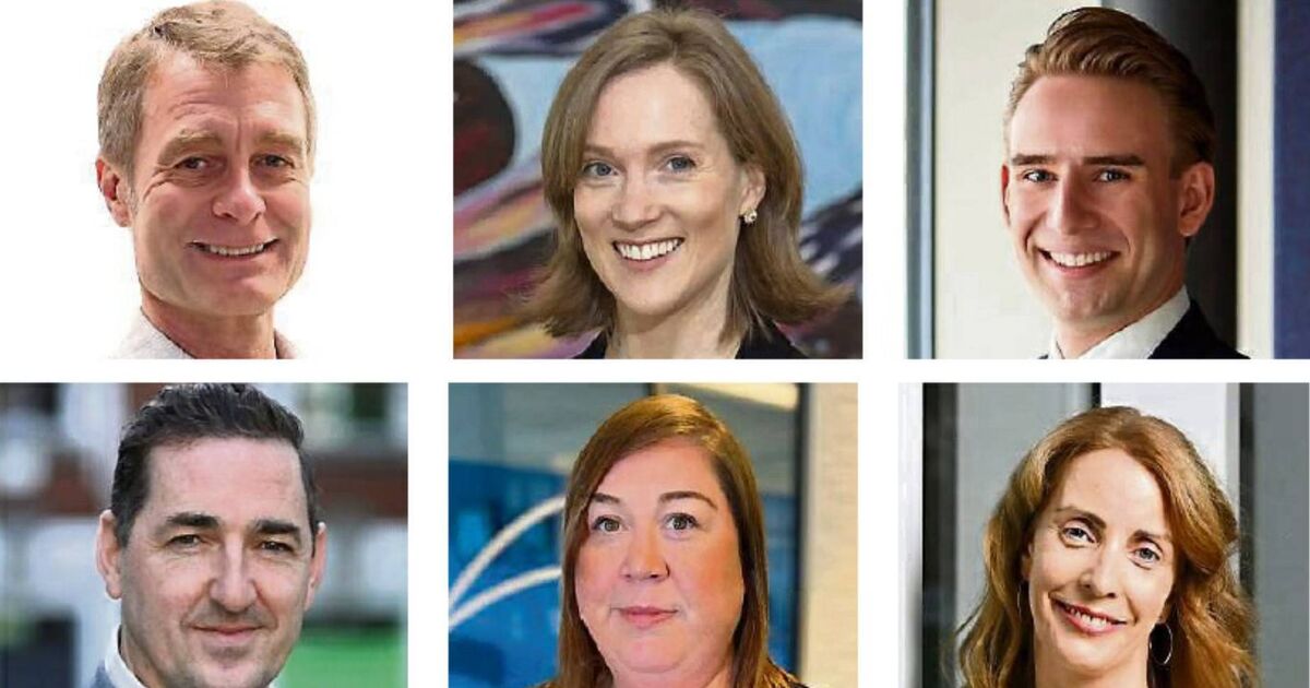 Business movers: People starting new jobs in Ireland