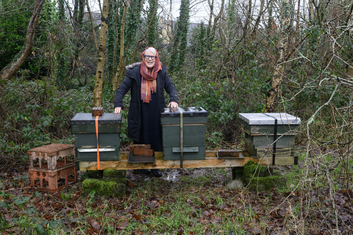 I spent a day with Darina Allen at Ballymaloe's new school — here's how ...