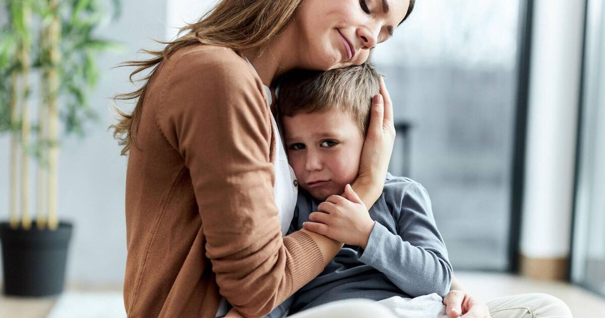 Colman Noctor: Raise resilient children by teaching them to regulate ...