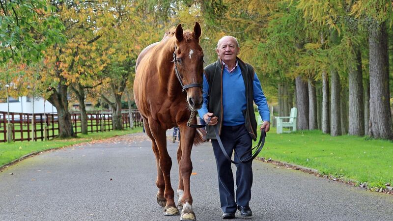 Legendary Limerick trainer Michael Hourigan announces retirement