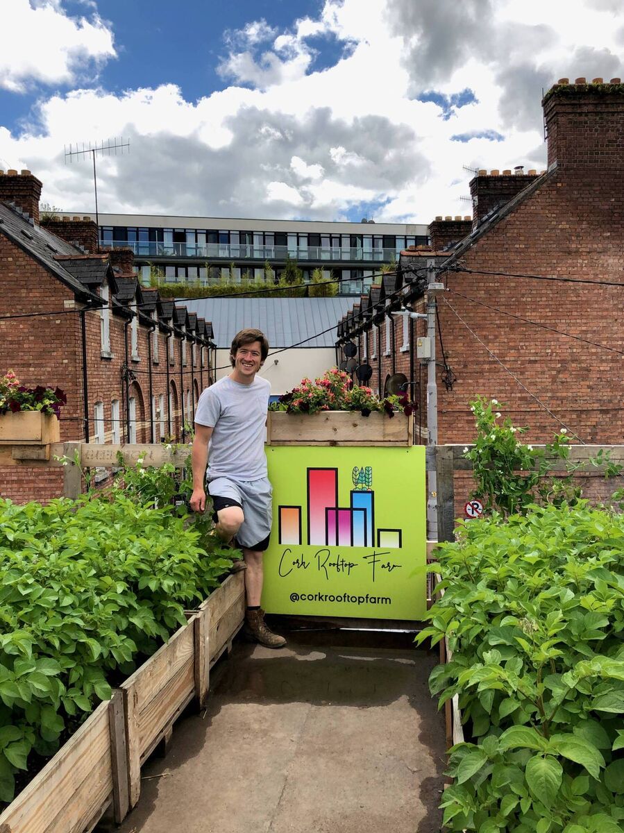 Cork Rooftop Farm announces closure of shop to make room for new 'farm ...