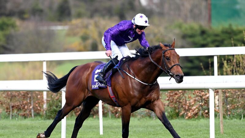 Dallas Star looking to continue Adrian Murray lucky streak at Dundalk