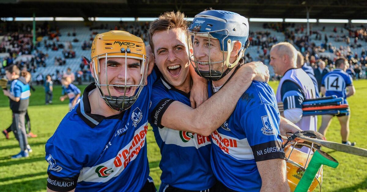 Tributes paid in court to Cork hurling star and garda Ray Ryan who died ...