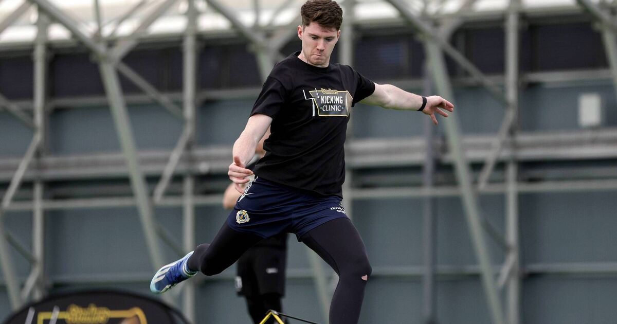 Mark McNamee and Ross Bolger added to NFL International Pathway for 2025