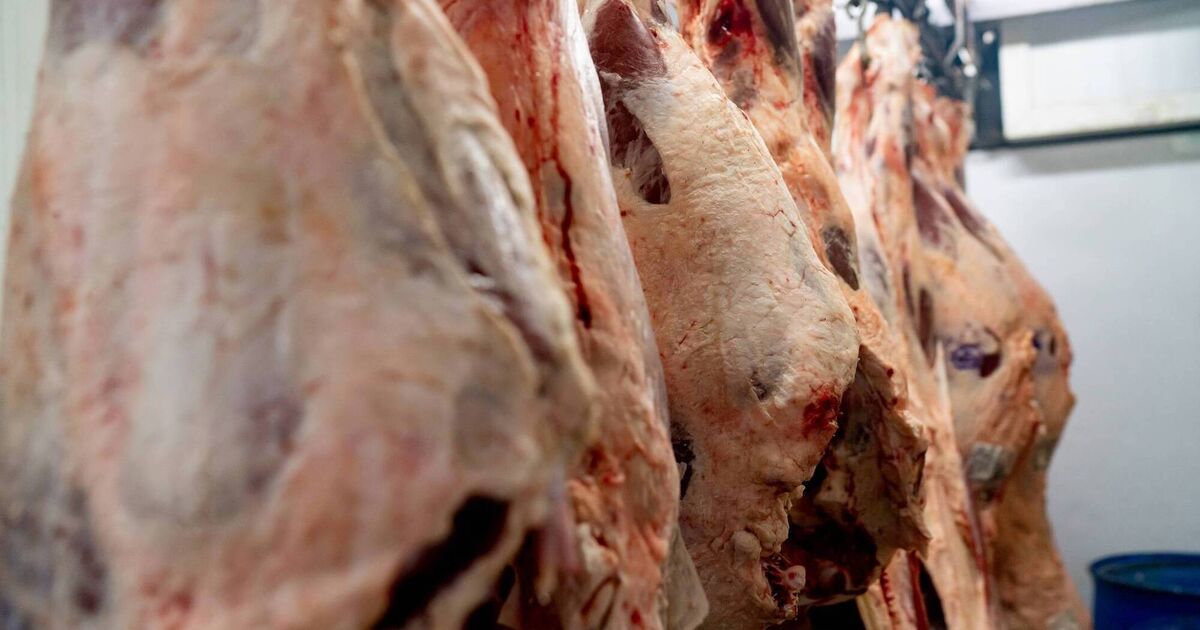 Farmers eye €8/kg for beef as factory prices keep climbing