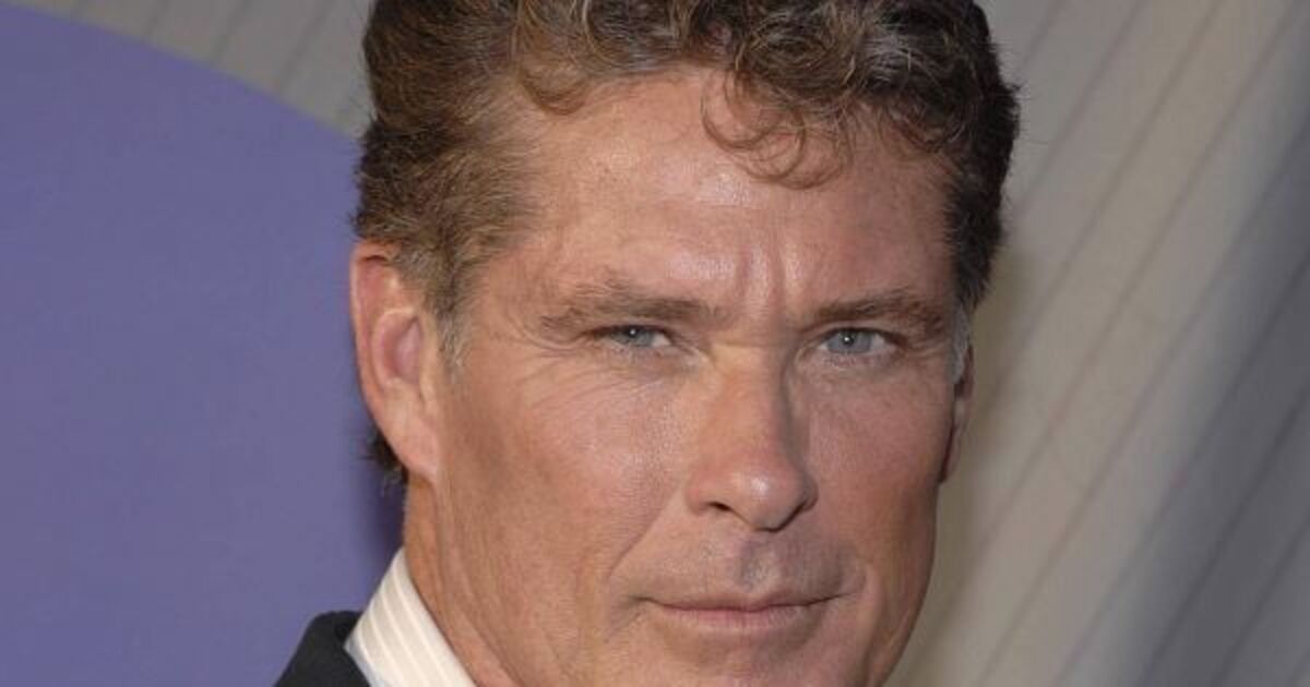 Hasselhoff uses mask of his own face to avoid recognition