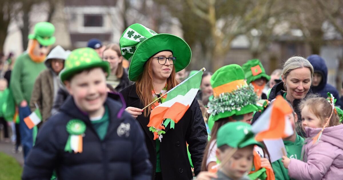 Cork St Patrick’s Day parade schedule: Full list of parade times across ...