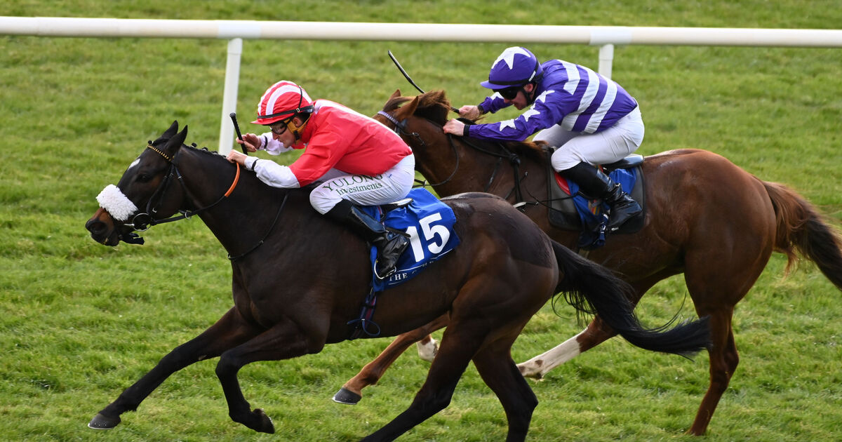 Orandi pounces late for Irish Lincolnshire honours at the Curragh