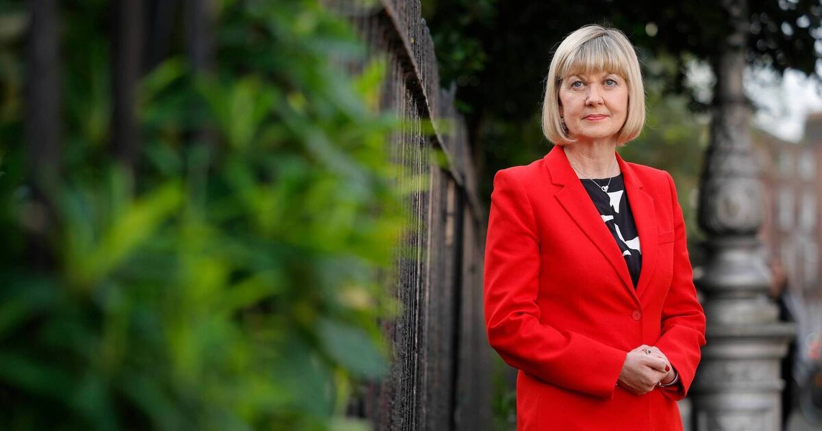 Gambling regulator will vet executives of top betting firms as part of ...