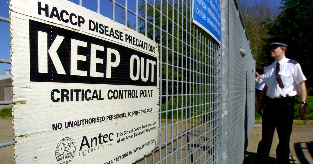 UK detects world's first case of bird flu in a sheep