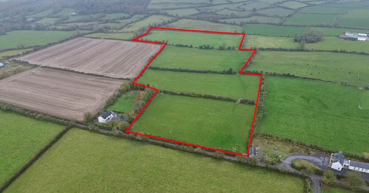 22-acre Kilkenny farm fetches €18k/acre at auction